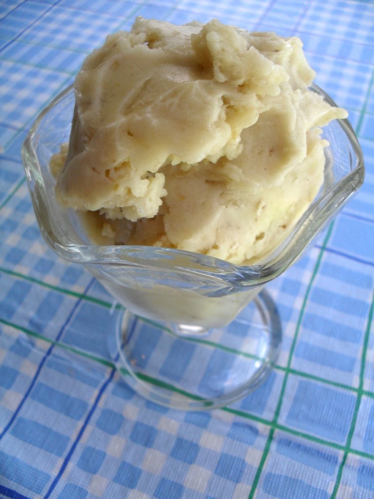 One Ingredient Ice Cream | Veronica's Cornucopia