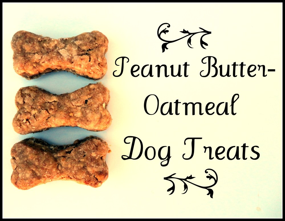 Dog Treats | Veronica's Cornucopia