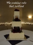 homemade | Veronica's Cornucopia